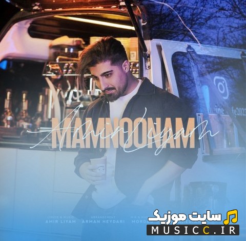 دانلود تمام آهنگ های امیر لیام [از قدیم تا ۱۴۰۴ ] بصورت یکجا - سایت موزیک